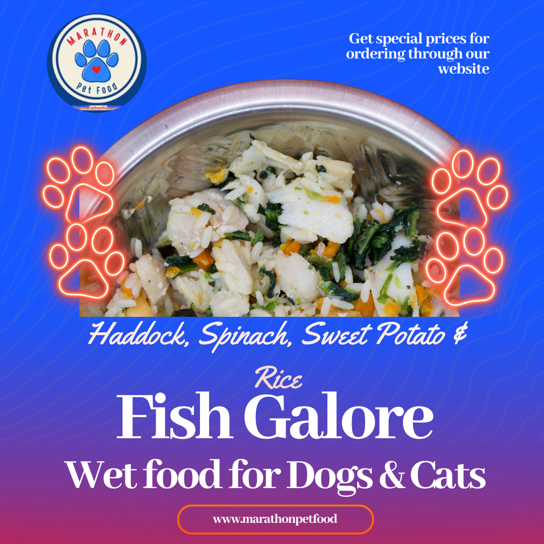 Fish Galore – Wet Food for Dogs & Cats – Marathon Pet Food